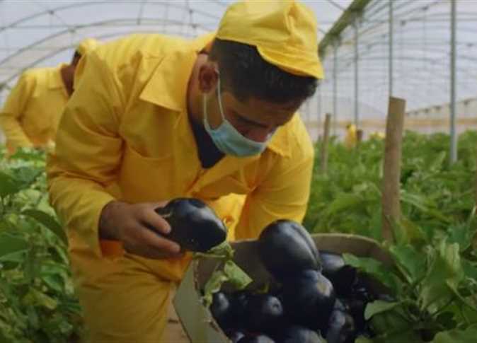 Factbox: What is inside Egypt’s new prison complex? - Egyptian Gazette