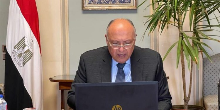 Shoukry calls for more coordination among Islamic countries - Egyptian ...