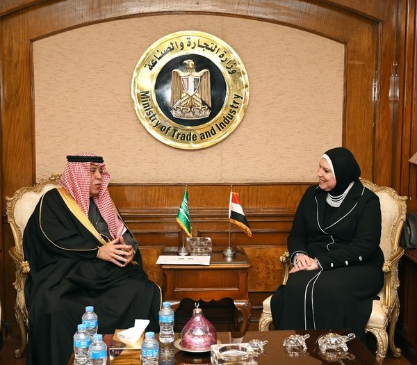 Egypt, Saudi Arabia discuss preparations for holding joint trade ...