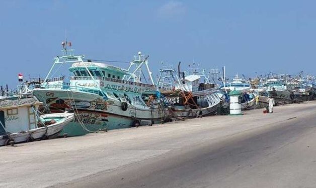 Burullus port fishing activities returning to normal as weather ...