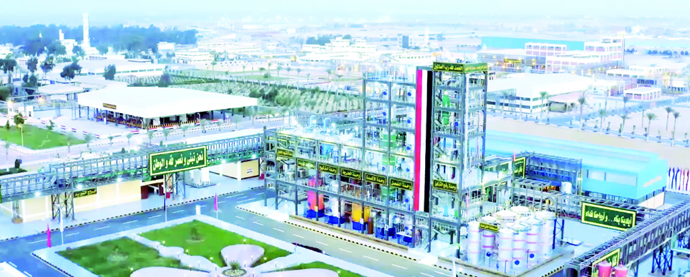 Egypt: faster, cleaner, safer and more fertile into the 21st century ...