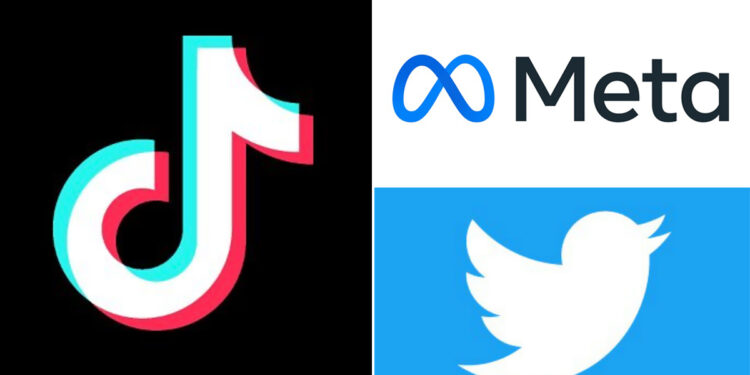 Meta and Twitter to compete with TikTok in realm of video - Egyptian ...