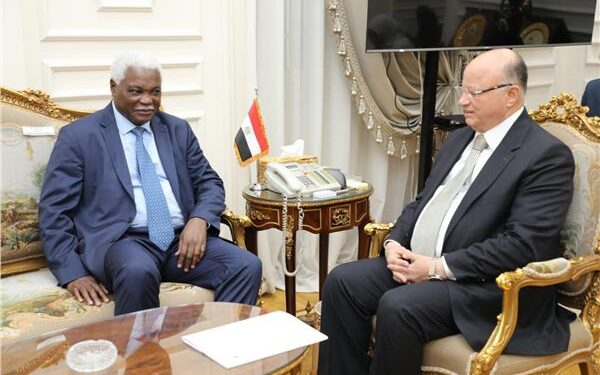 Egypt development 'model for Africa' - Egyptian Gazette